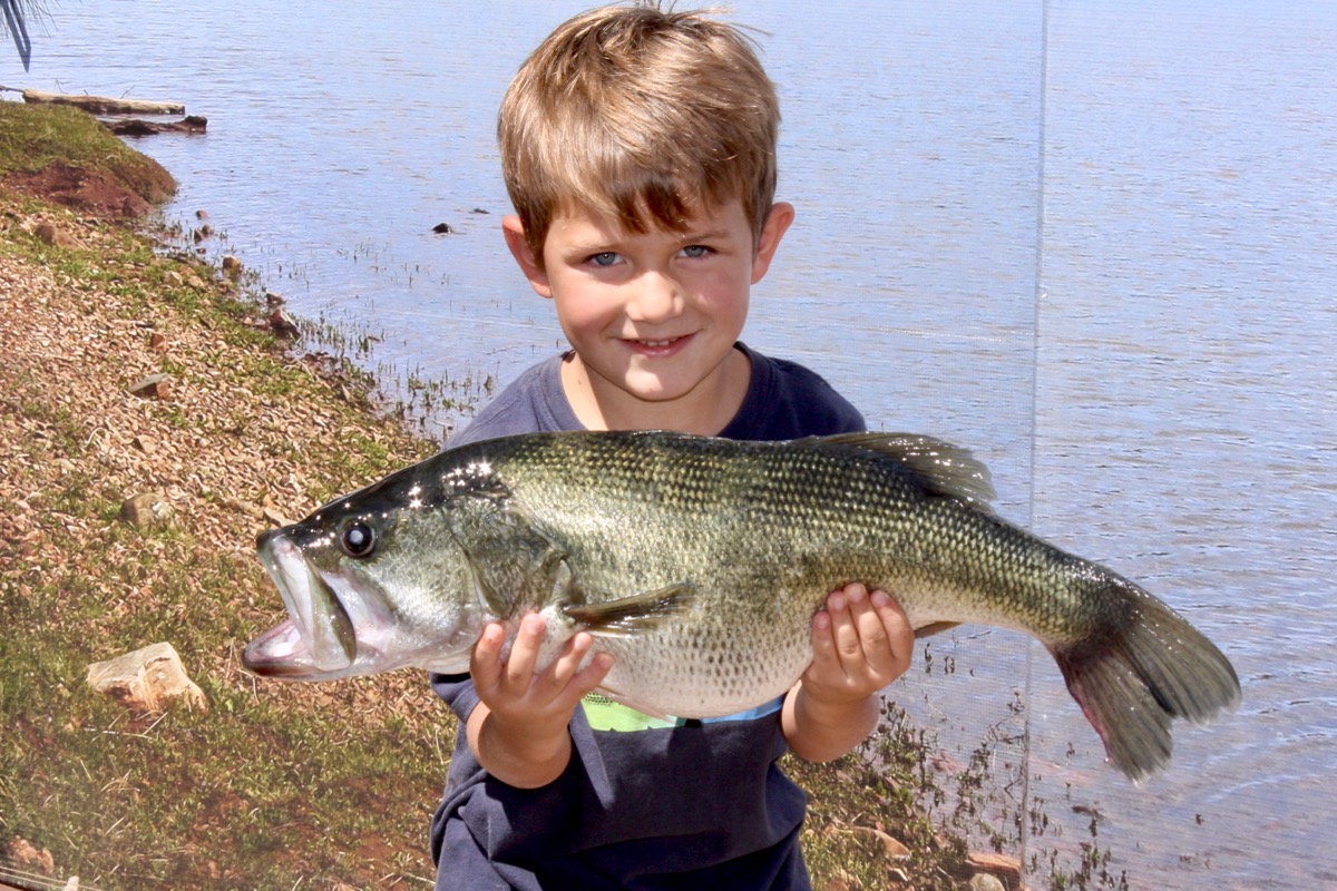 Collins Lake :: Cranking in Catfish at Collins Lake