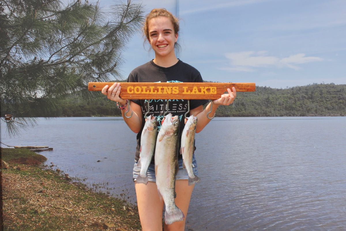 Collins Lake :: Smoke had cleared and the trout are back!
